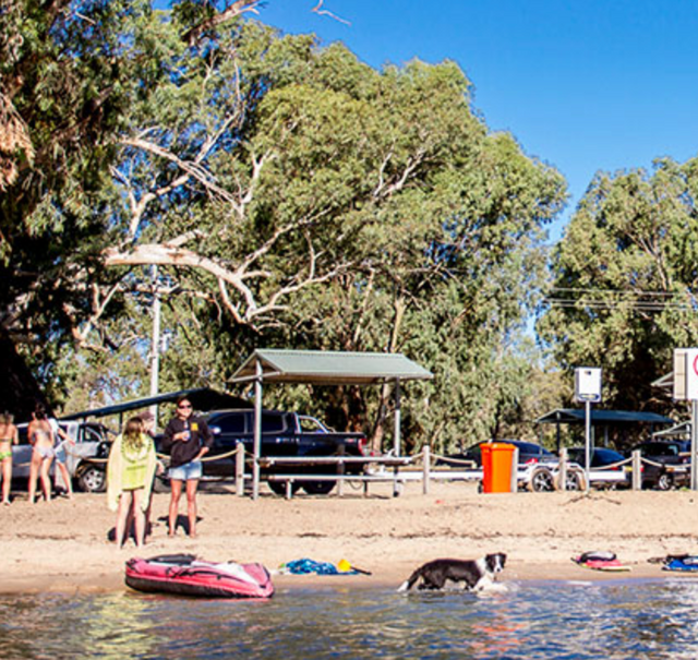 Are Dogs Allowed At Chidley Reserve