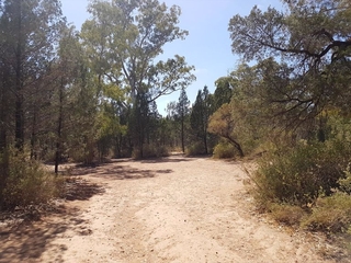 Baroota Ruins Campground - Mount Remarkable National Park, Campsite at ...
