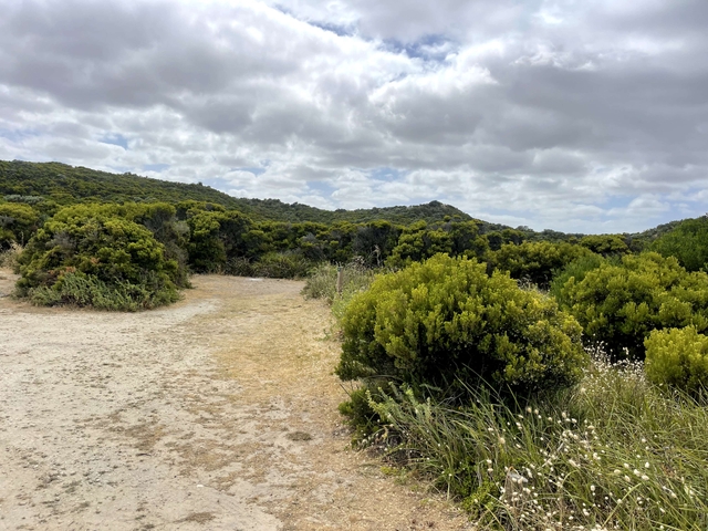 Cape Banks Lighthouse Campground, Campsite at Carpenter Rocks | Book at ...