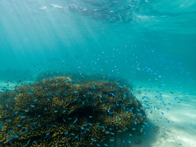 Five Fingers Reef, Point Of Interest at | Book at Campedia.com.au