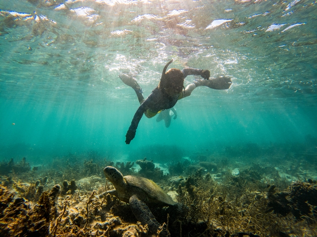 Five Fingers Reef, Point Of Interest at | Book at Campedia.com.au