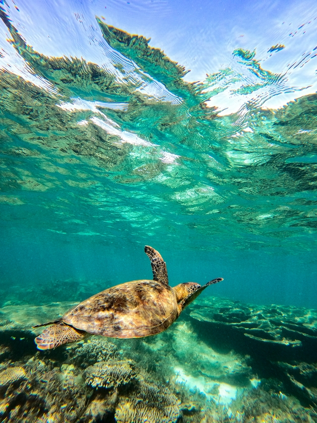 Five Fingers Reef, Point Of Interest at | Book at Campedia.com.au