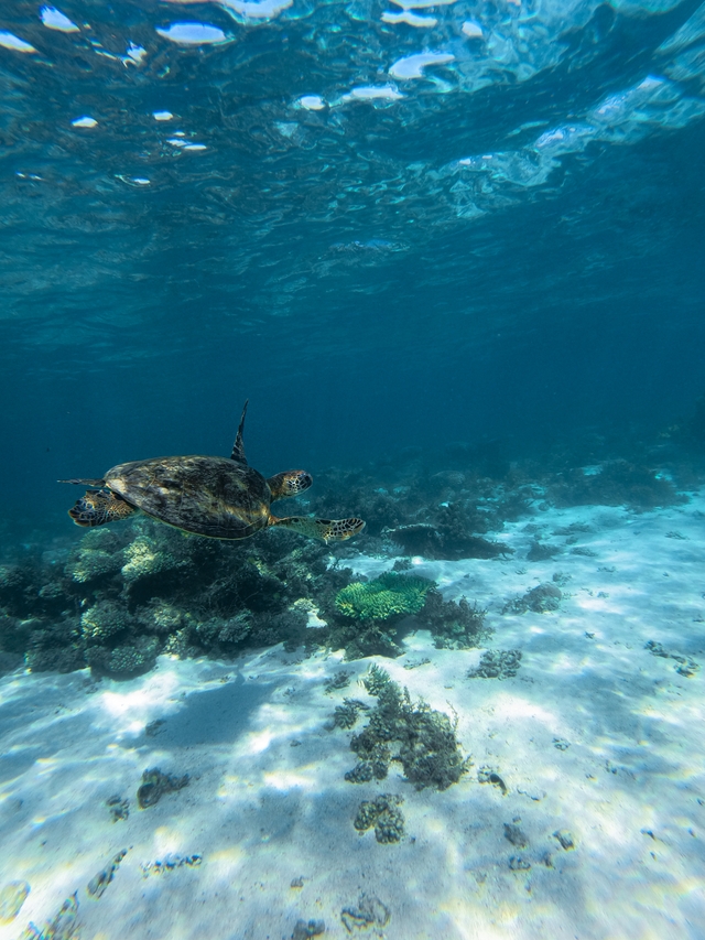 Five Fingers Reef, Point Of Interest at | Book at Campedia.com.au