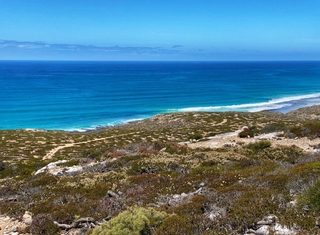Great Australian Bight - Scenic Lookout No 3, Point Of Interest at ...