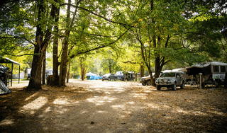 Nug Nug Reserve , Campsite at Nug Nug | Book at Campedia.com.au