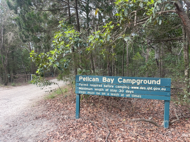 Pelican Bay Campground - Inskip Peninsula Recreation Area, Campsite at ...