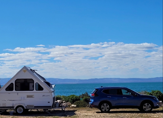 Point Lowly Marina Camping Area, Campsite at null | Book at Campedia.com.au