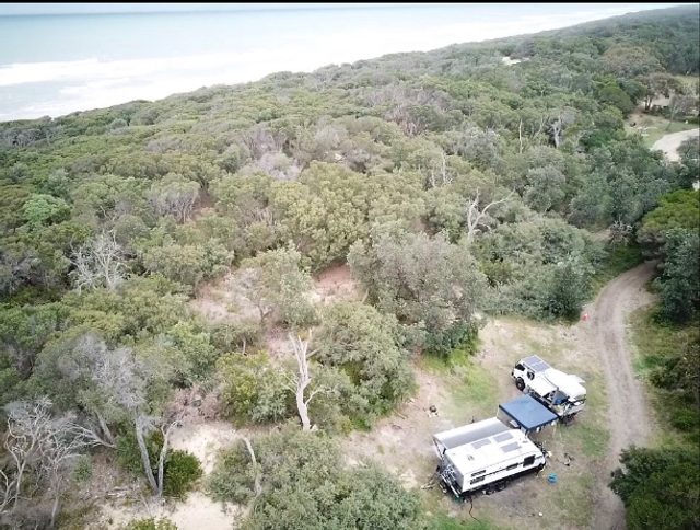 Reeves Beach Campground, Campsite at Woodside | Book at Campedia.com.au