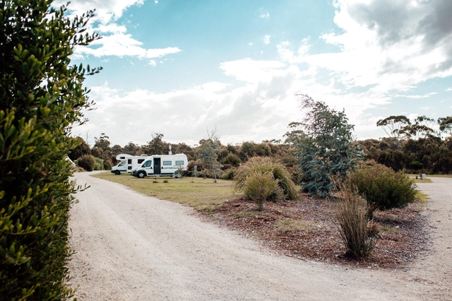 Scamander Sanctuary Holiday Park , Caravan Park at Scamander | Book at ...